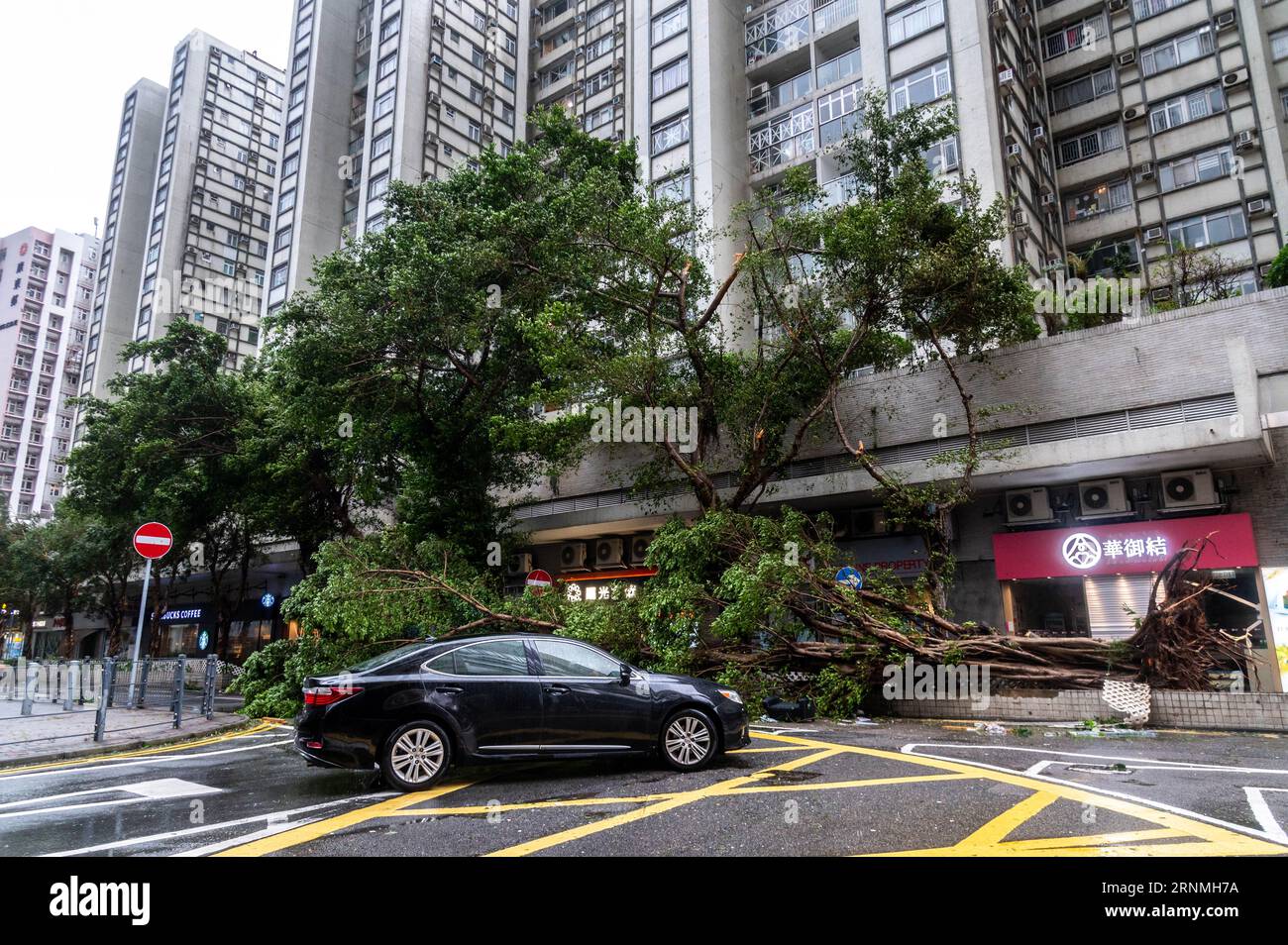 Number takes issued hi-res stock photography and images - Alamy