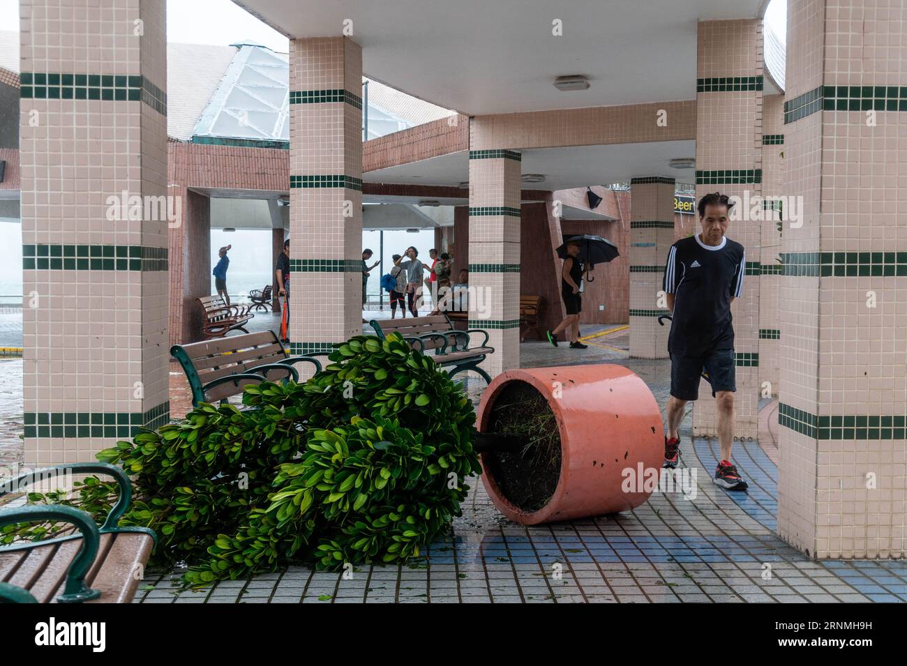 Fallen planter hi-res stock photography and images - Alamy