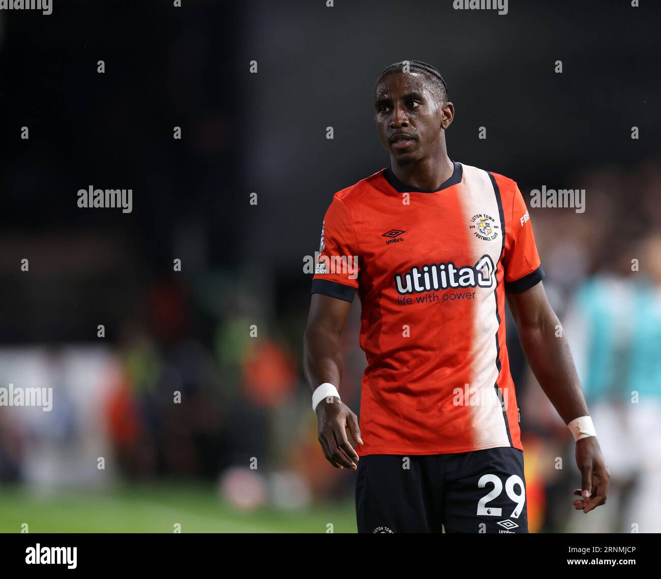 V amarii bell hi-res stock photography and images - Alamy