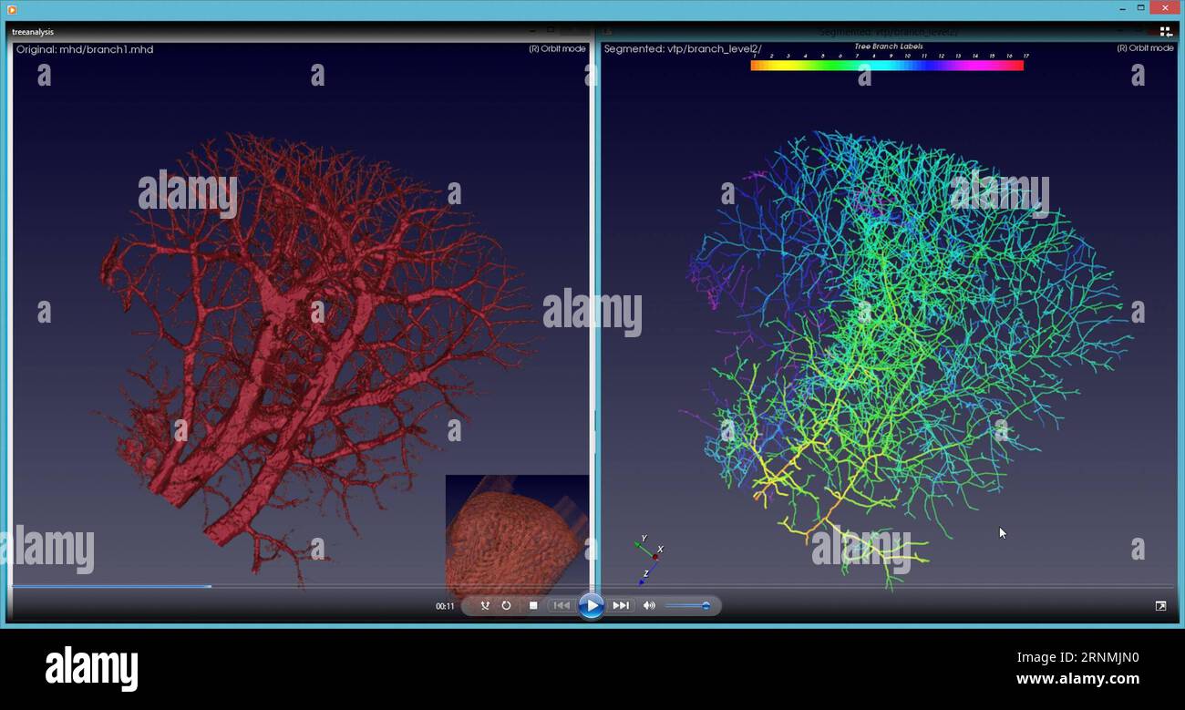 (170531) -- CANBERRA, May 31, 2017 -- Image provided by CSIRO shows ...