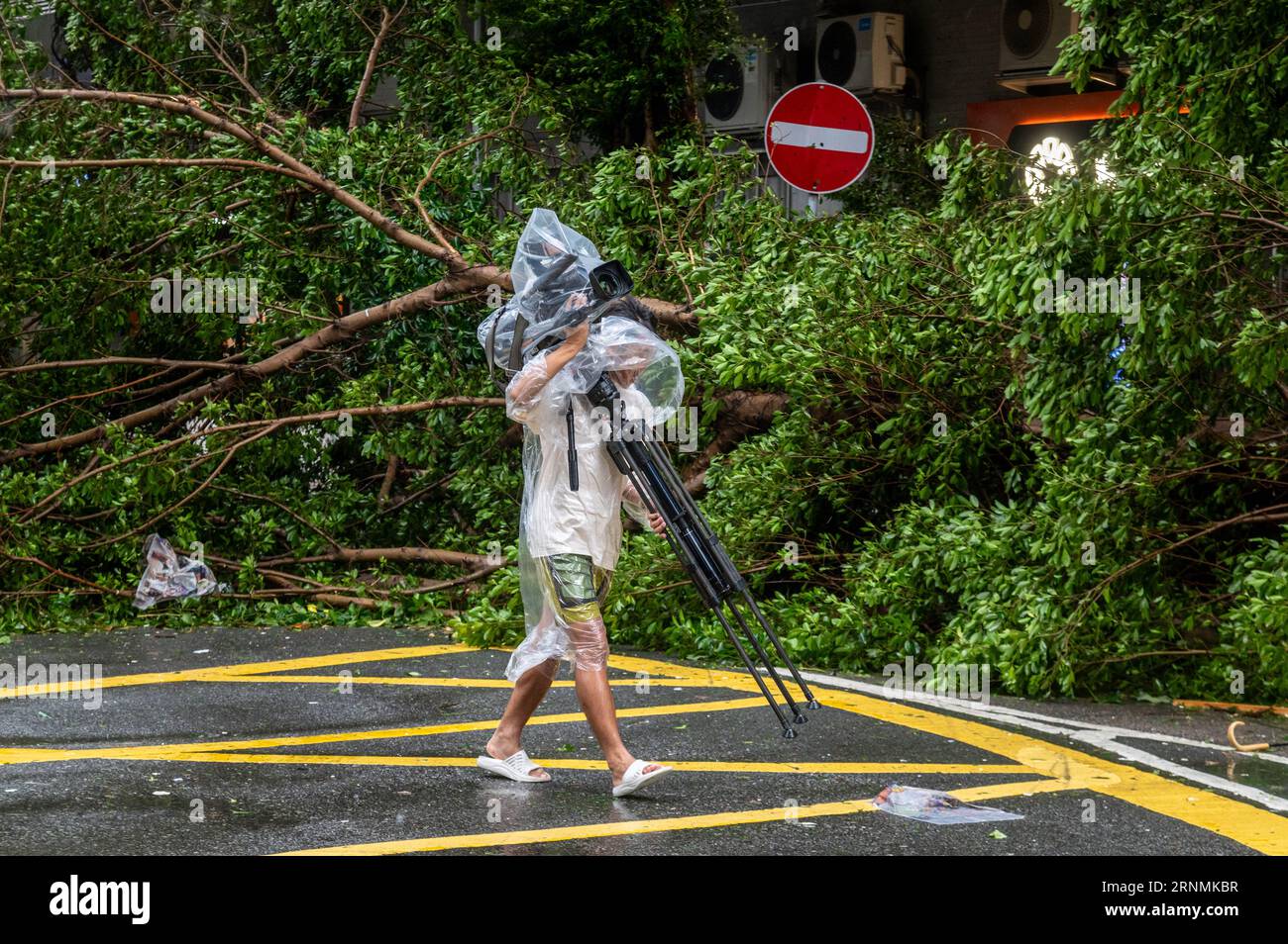 Hong Kong, Hong Kong. 02nd Sep, 2023. A cameraman battles the wind and ...