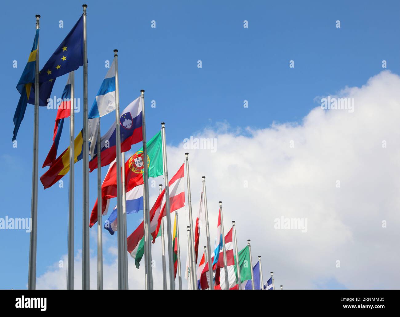 many international flags of european country near the parliament and ...