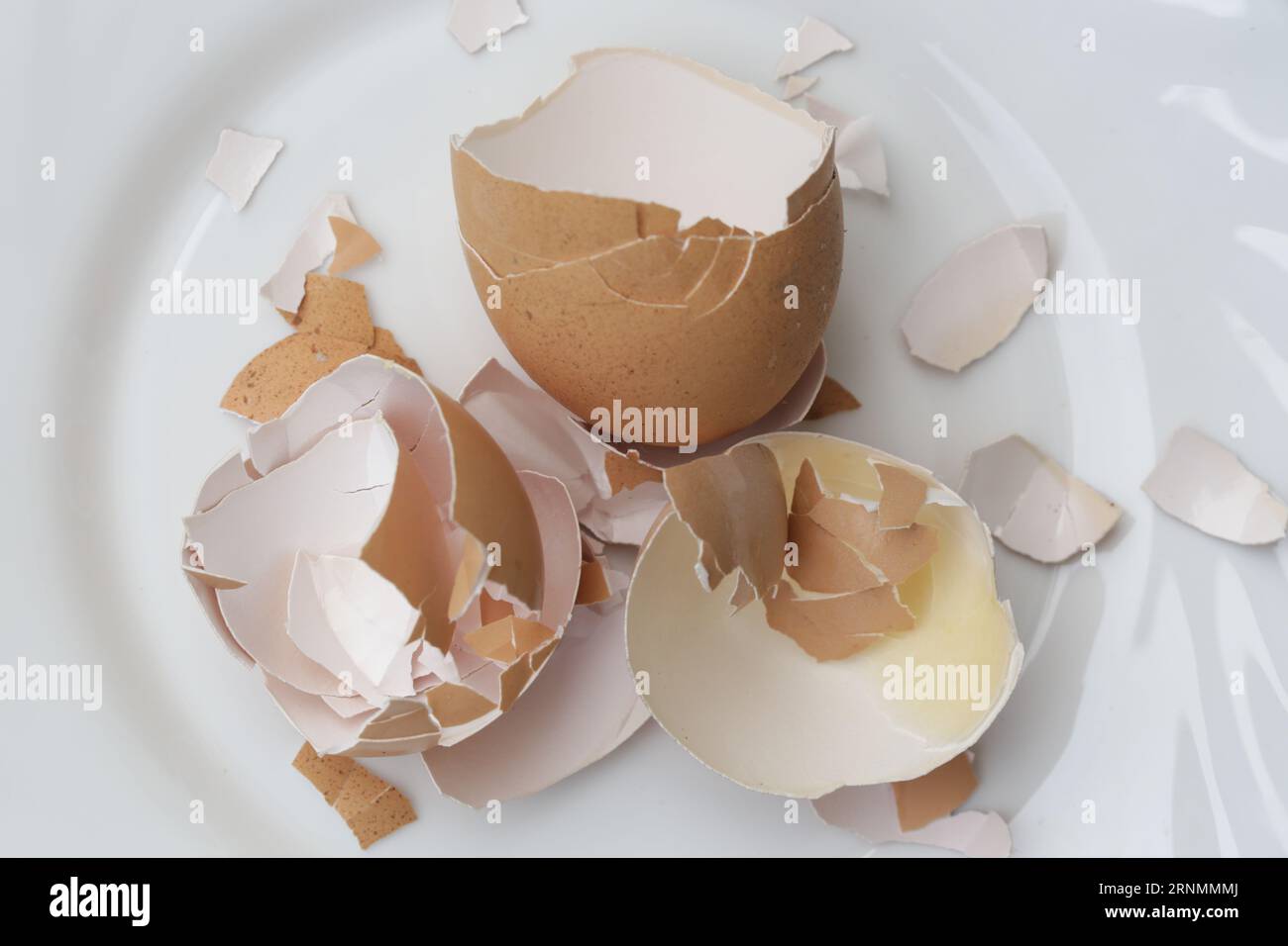 Crushed egg shell on the plate, cn be used as a calcium and mineral ...