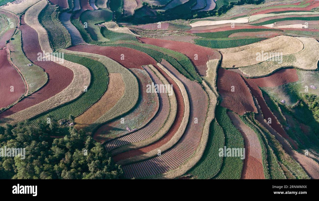 (170604) -- KUNMING, June 4, 2017 -- Photo taken on May 21, 2017 shows ...
