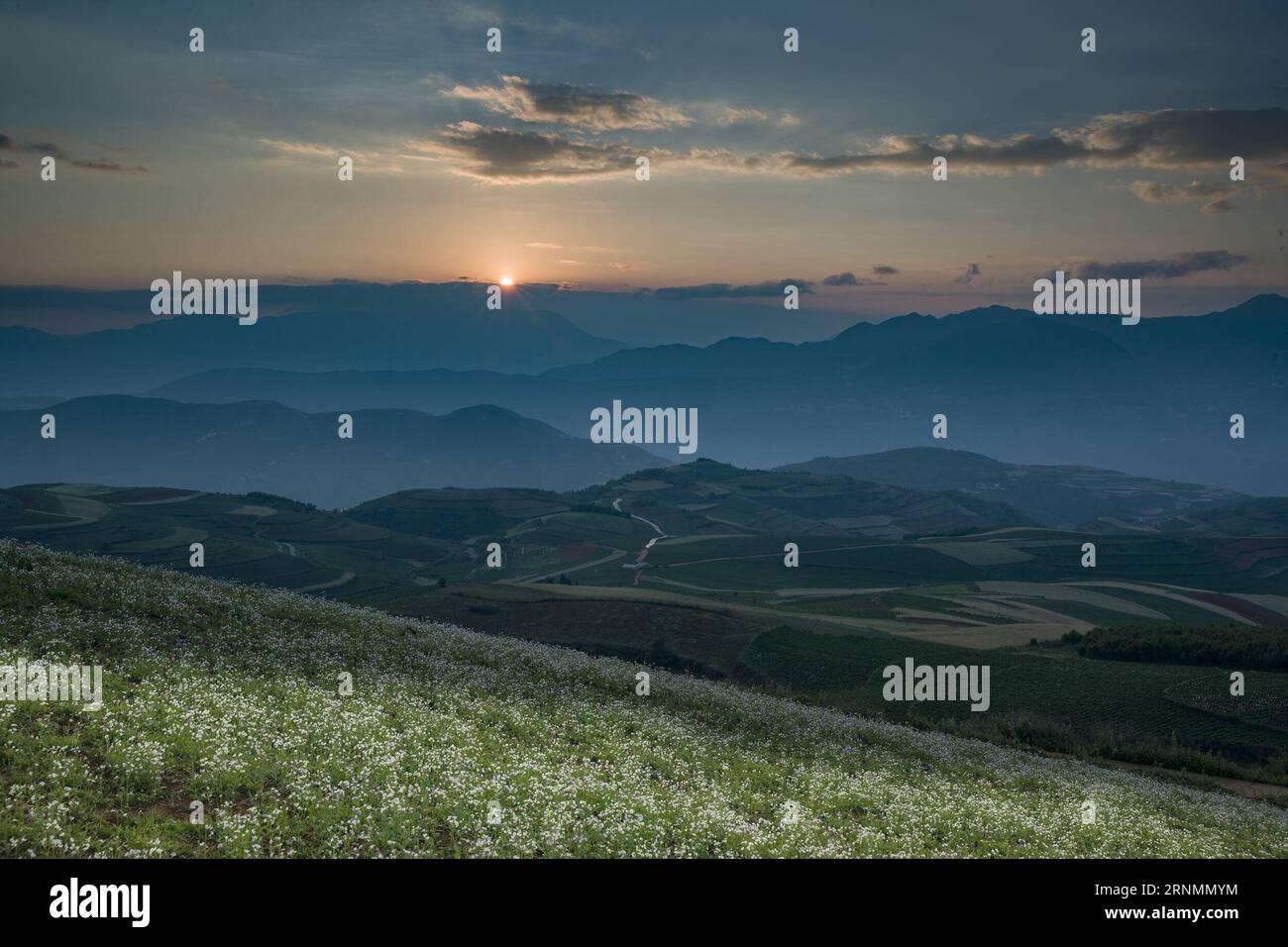 (170604) -- KUNMING, June 4, 2017 -- Photo taken on May 21, 2017 shows ...