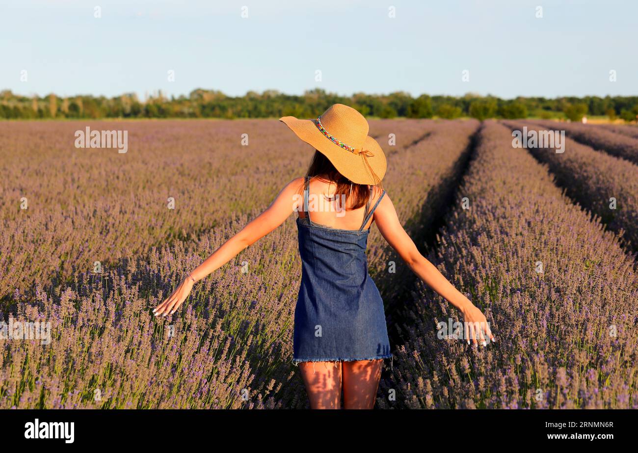 Young girl with straw boater in the wide field of lavender flower in ...