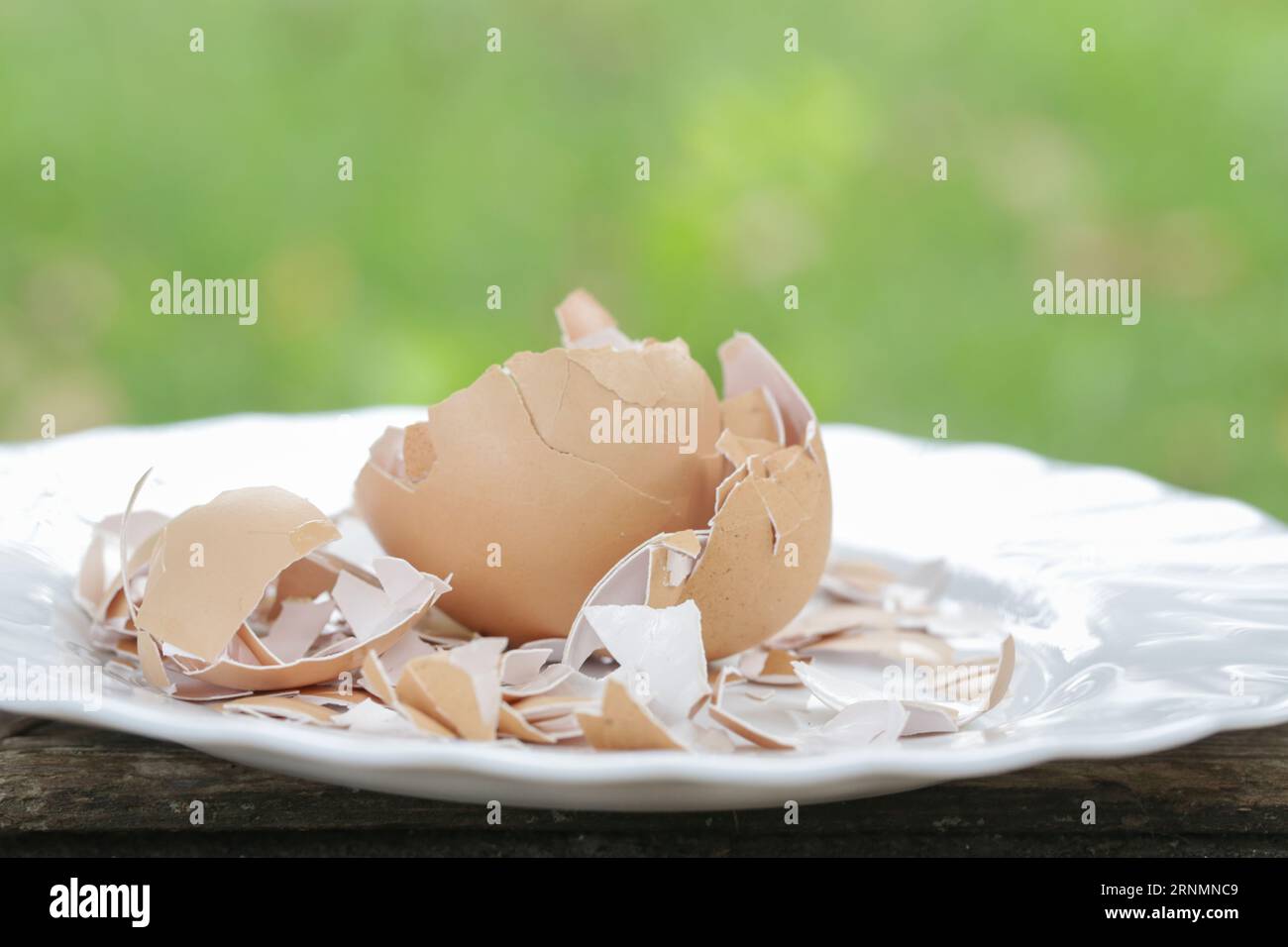 Crushed egg shell on the plate, cn be used as a calcium and mineral ...
