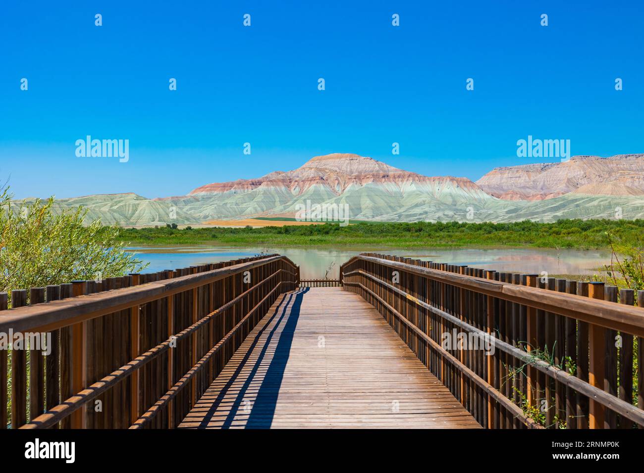 Nallihan Bird Sanctuary aka Nallihan Kus Cenneti and Rainbow Hills aka ...