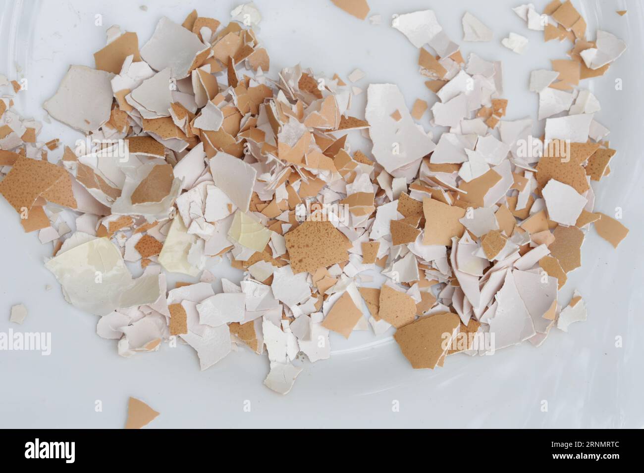 Eggshell crushed garden hi-res stock photography and images - Alamy