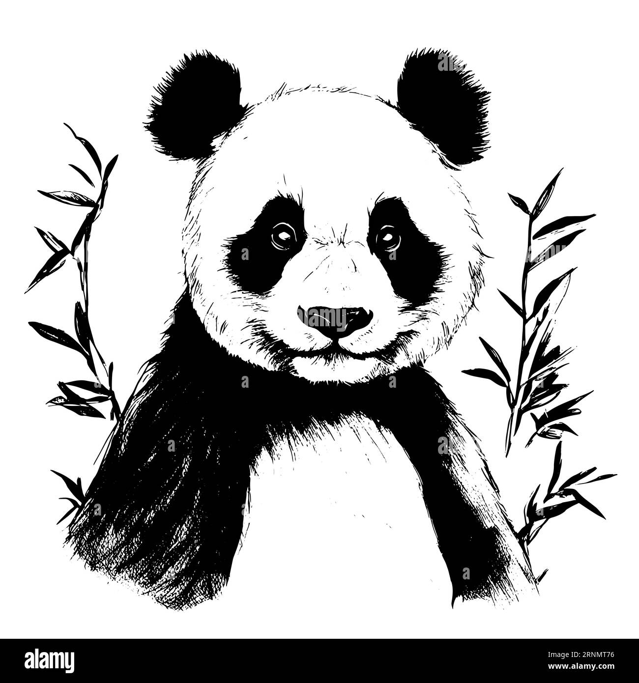 Lazy Panda Drawing