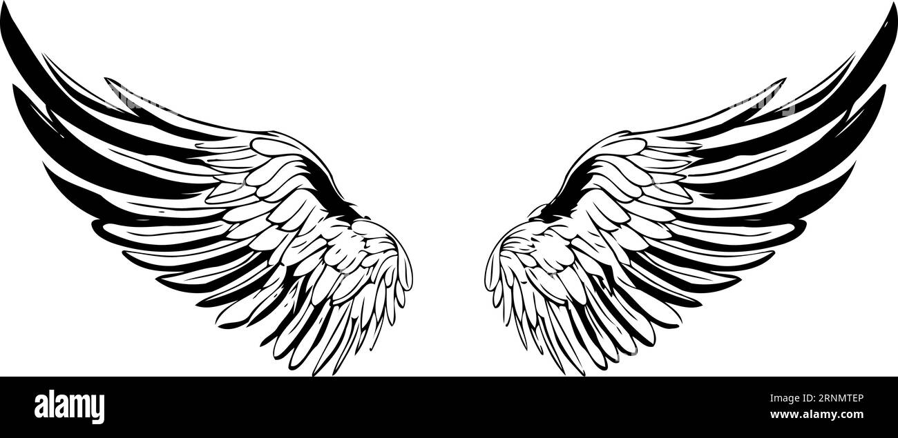 black and white background wings minimalistic vector illustration Stock ...