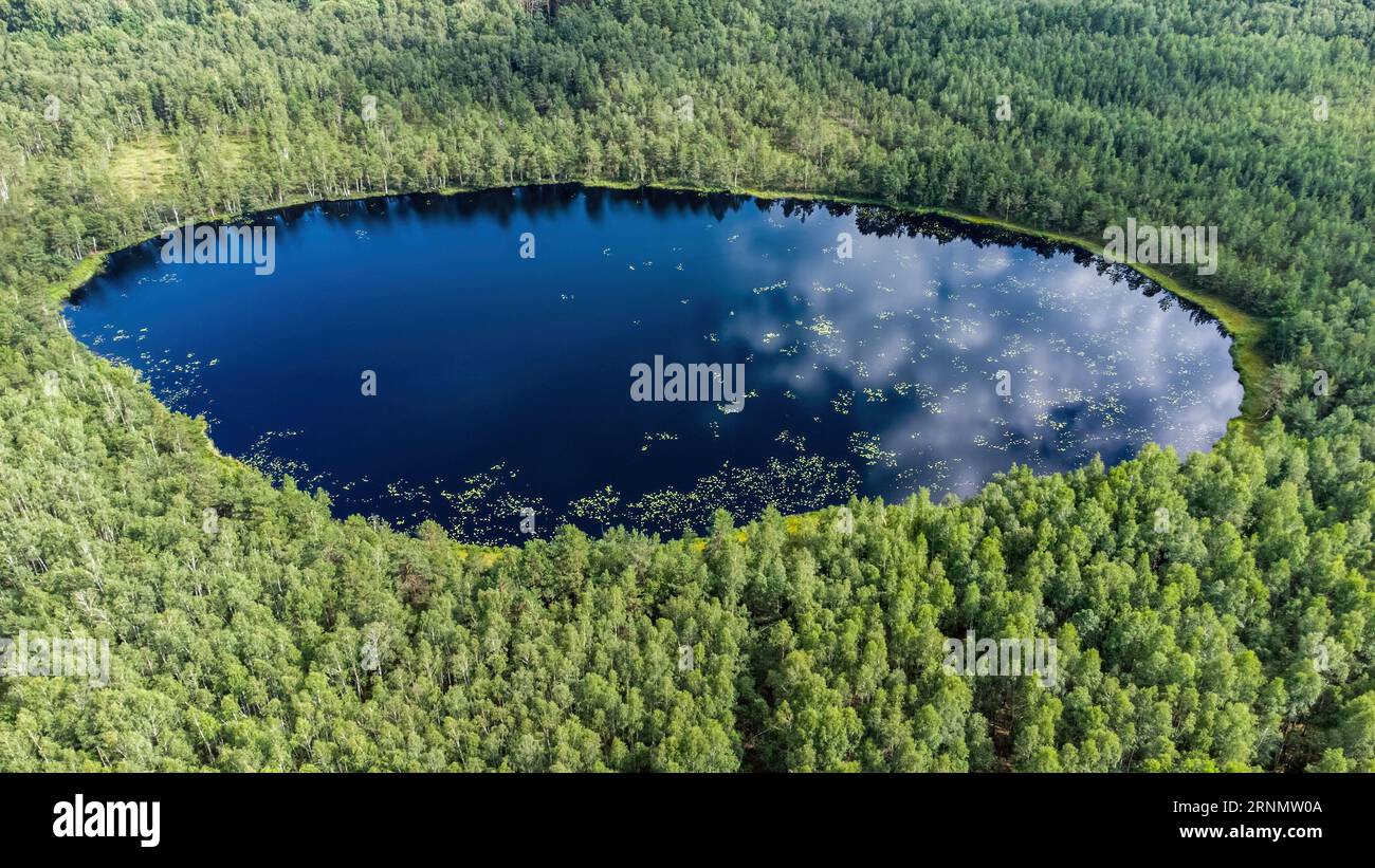 Aerial view of a lake in the forests of Lithuania, wild nature, swampy ...