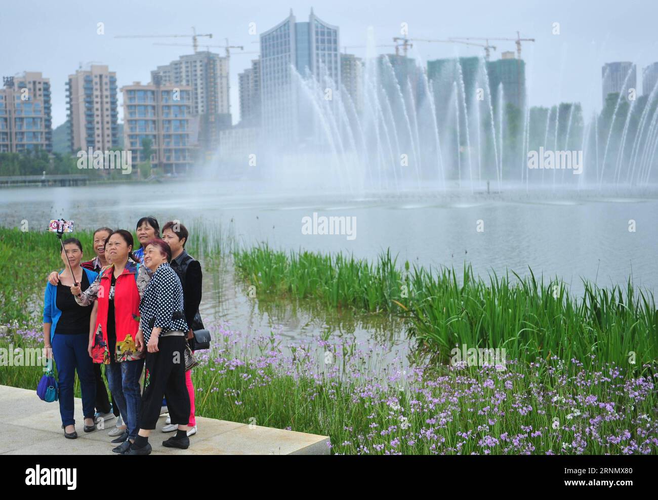 Plot ratio hi-res stock photography and images - Alamy