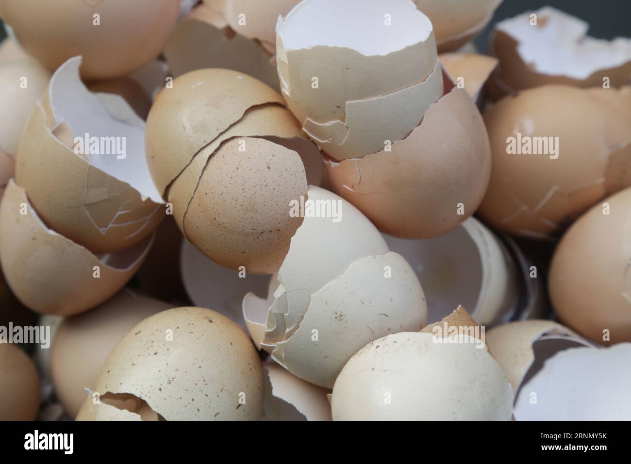 Stack of broken and dry eggshells Stock Photo - Alamy