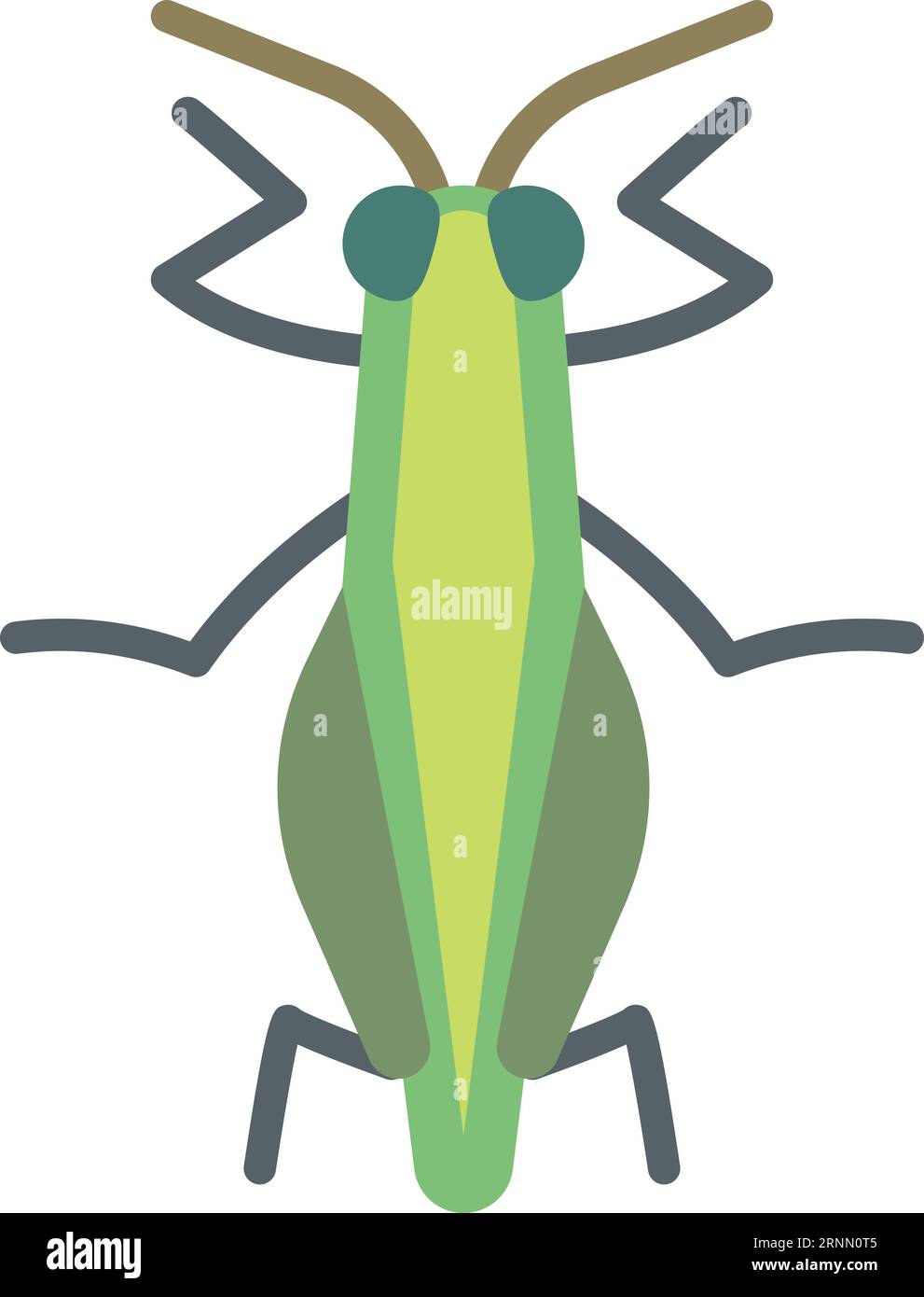 Cartoon grasshopper hi-res stock photography and images - Alamy