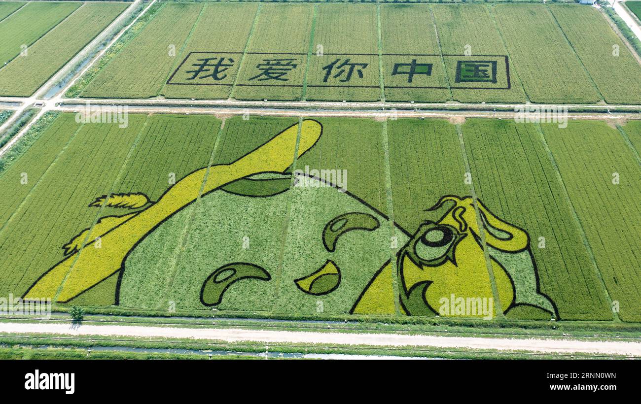 XI'AN, CHINA - SEPTEMBER 2, 2023 - Aerial photo shows a giant cartoon ...
