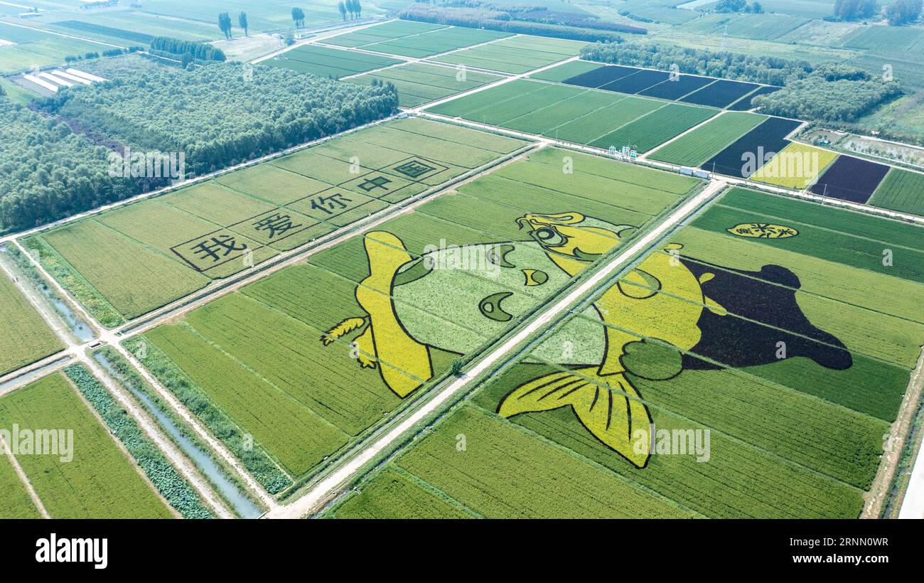 XI'AN, CHINA - SEPTEMBER 2, 2023 - Aerial photo shows a giant cartoon ...