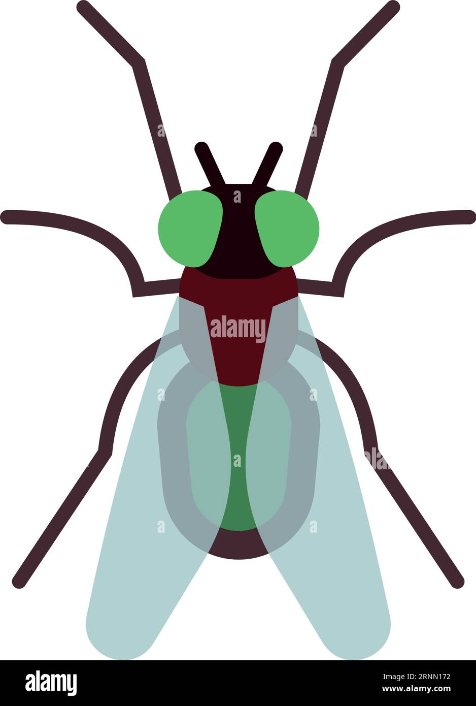 Fly flat insect icon. Pest color symbol Stock Vector Image & Art - Alamy
