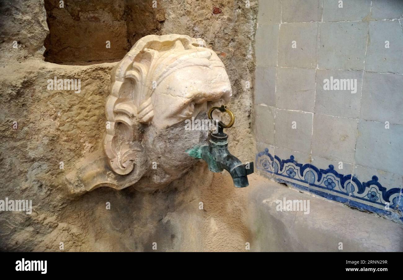 Carved in stone lion-head water tap in the kitchen of the Alcobaca ...