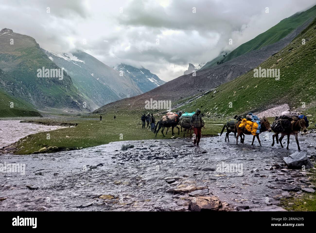 Trekking in the beautiful Warwan Valley, Pir Panjal Range, Kashmir ...