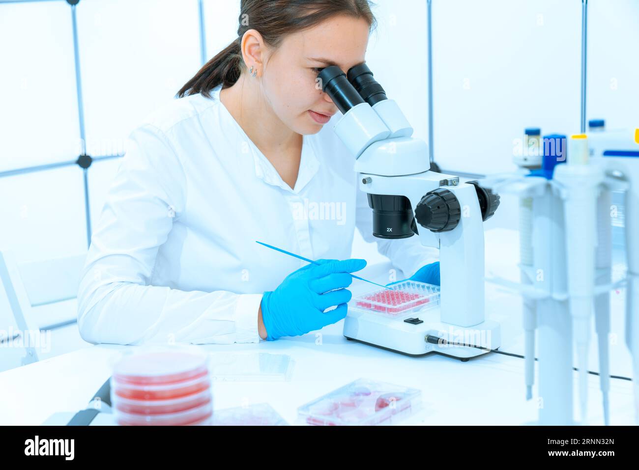 Genomics research: Microscopes are used to study the structure and ...