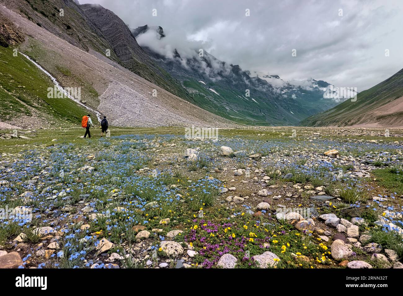Trekking in the beautiful Warwan Valley, Pir Panjal Range, Kashmir ...