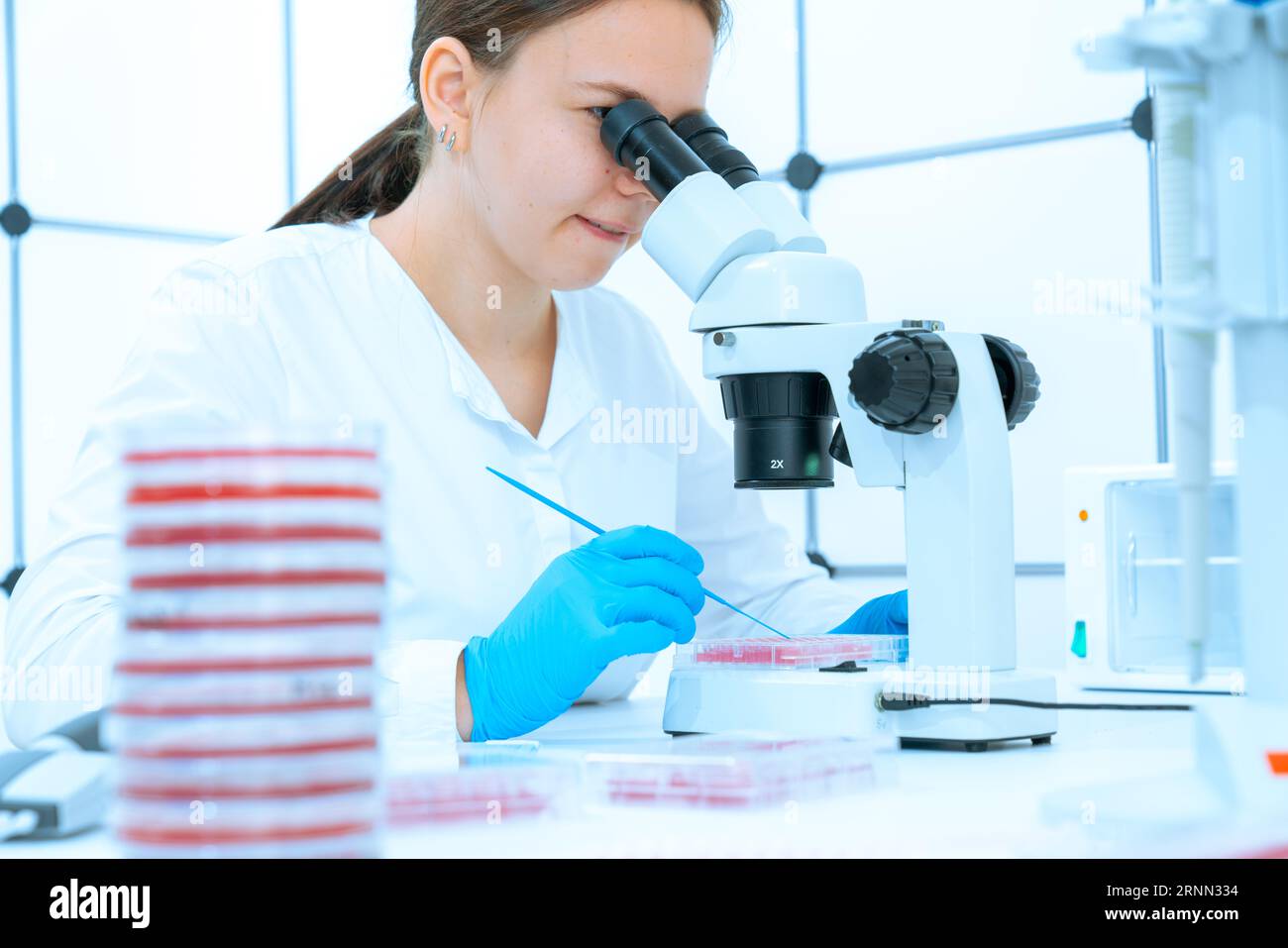 Molecular biology investigation: Microscopy allows visualizing ... Molecular biology investigation: Microscopy allows visualizing ...