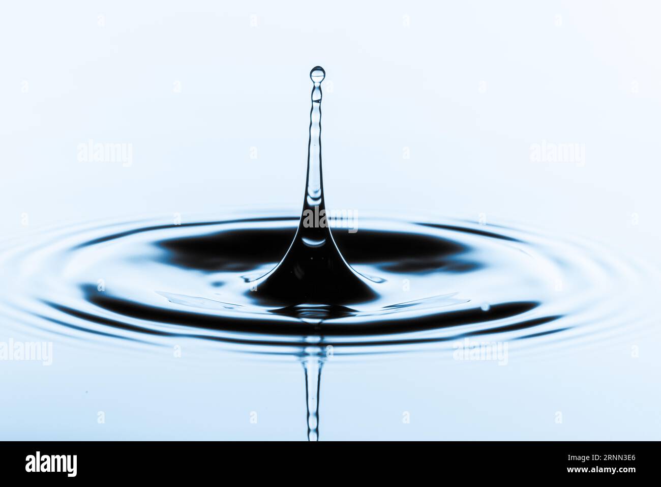 Liquid Collage: A mesmerizing collage of water droplets merging into a ...