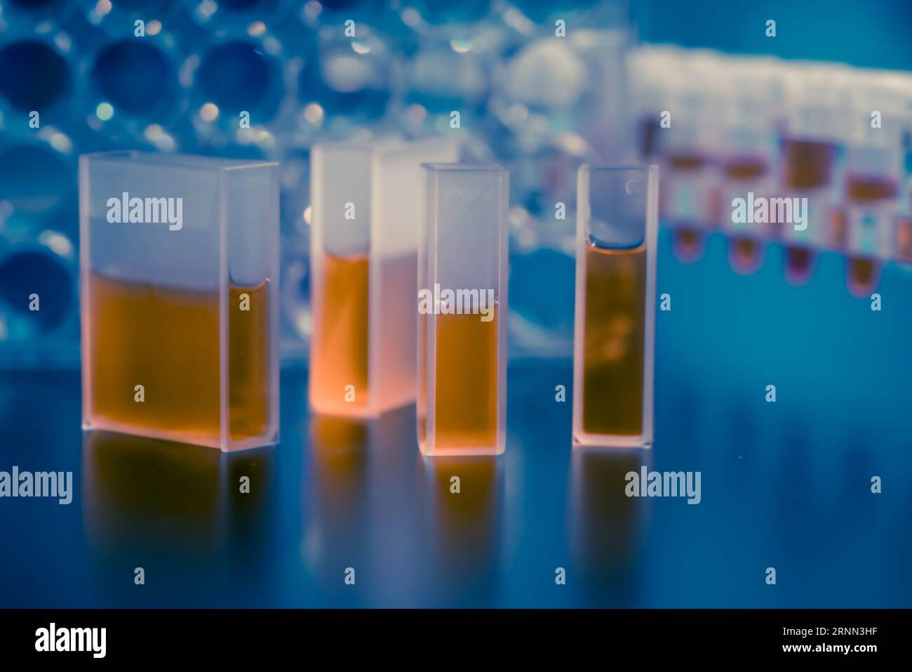 Cytotoxicity assays: Observe the effect of compounds on cell viability ...