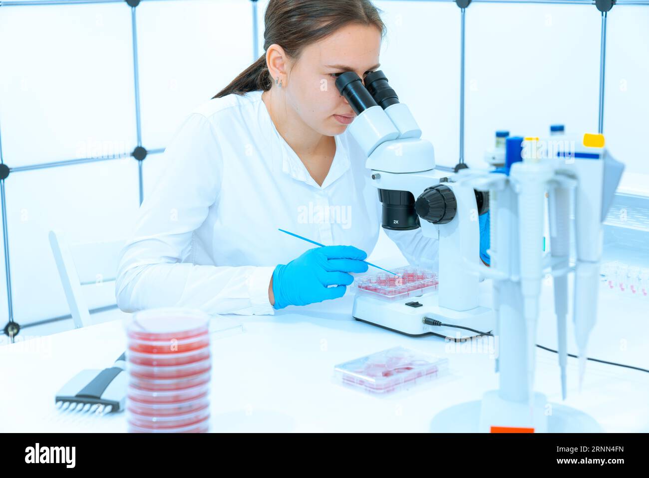 Study of microbial ecosystems: Microscopy helps study the interactions ...