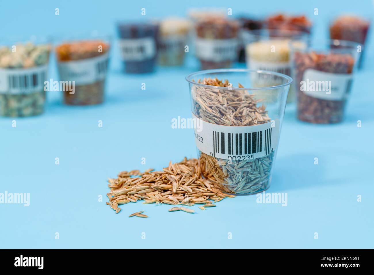 Genetically Modified Organisms (GMOs): Crops that have been genetically ...