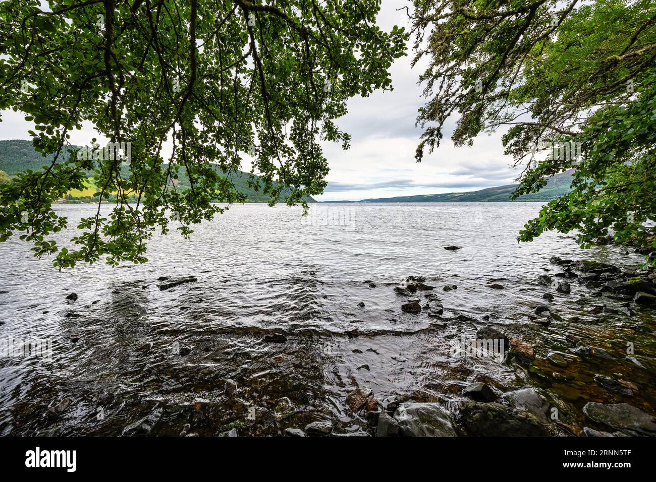 Shore of Loch Ness in Scotland, full of vegetation and trees, lake ...