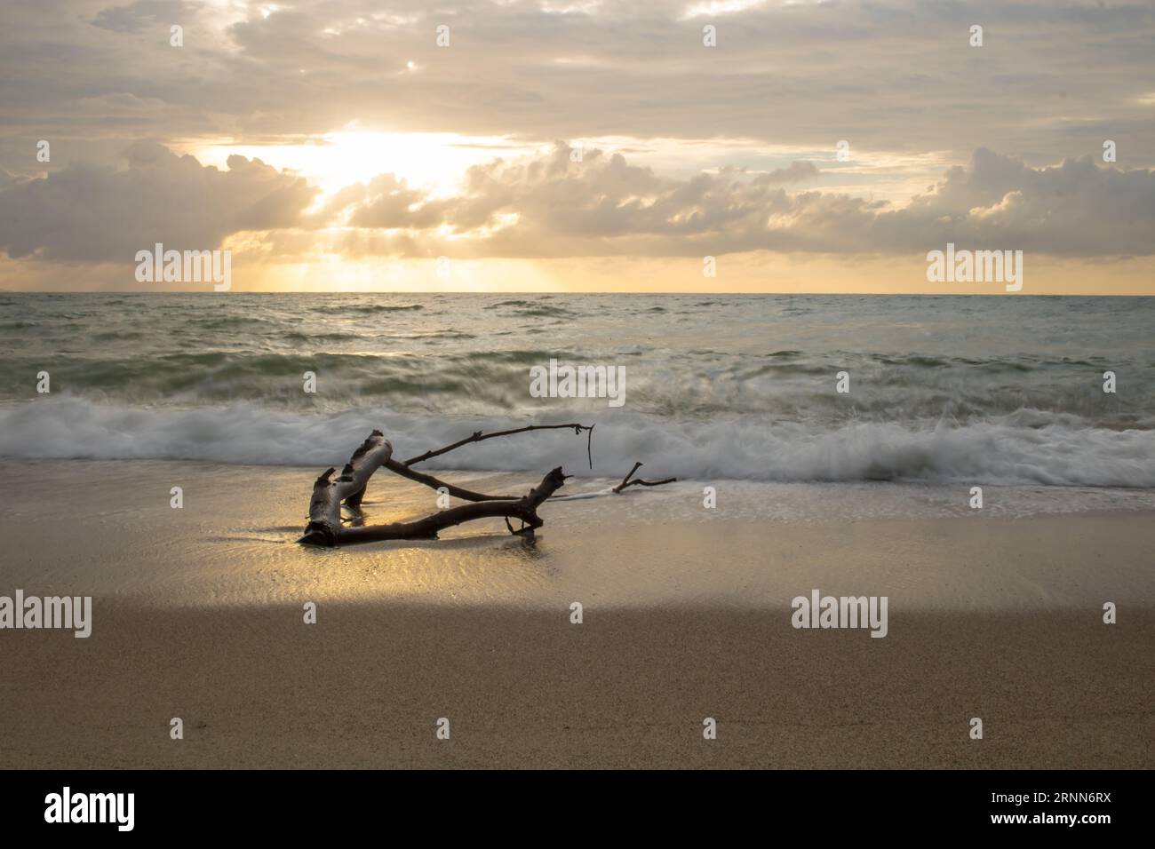 Beautiful landscape view of sea and empty beach on sunset. Sea sand sky ...