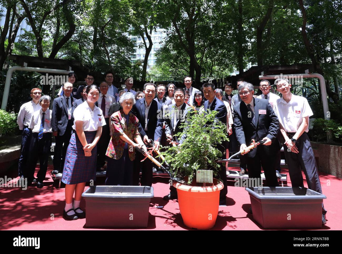 Hong kong tree planting hi-res stock photography and images - Alamy