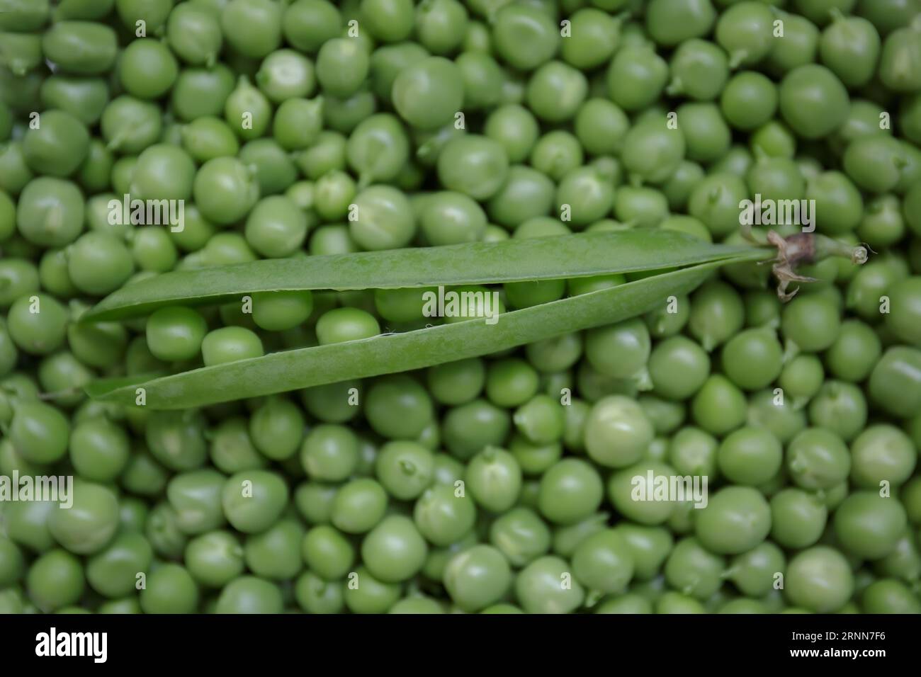 Pod without peas hi-res stock photography and images - Alamy