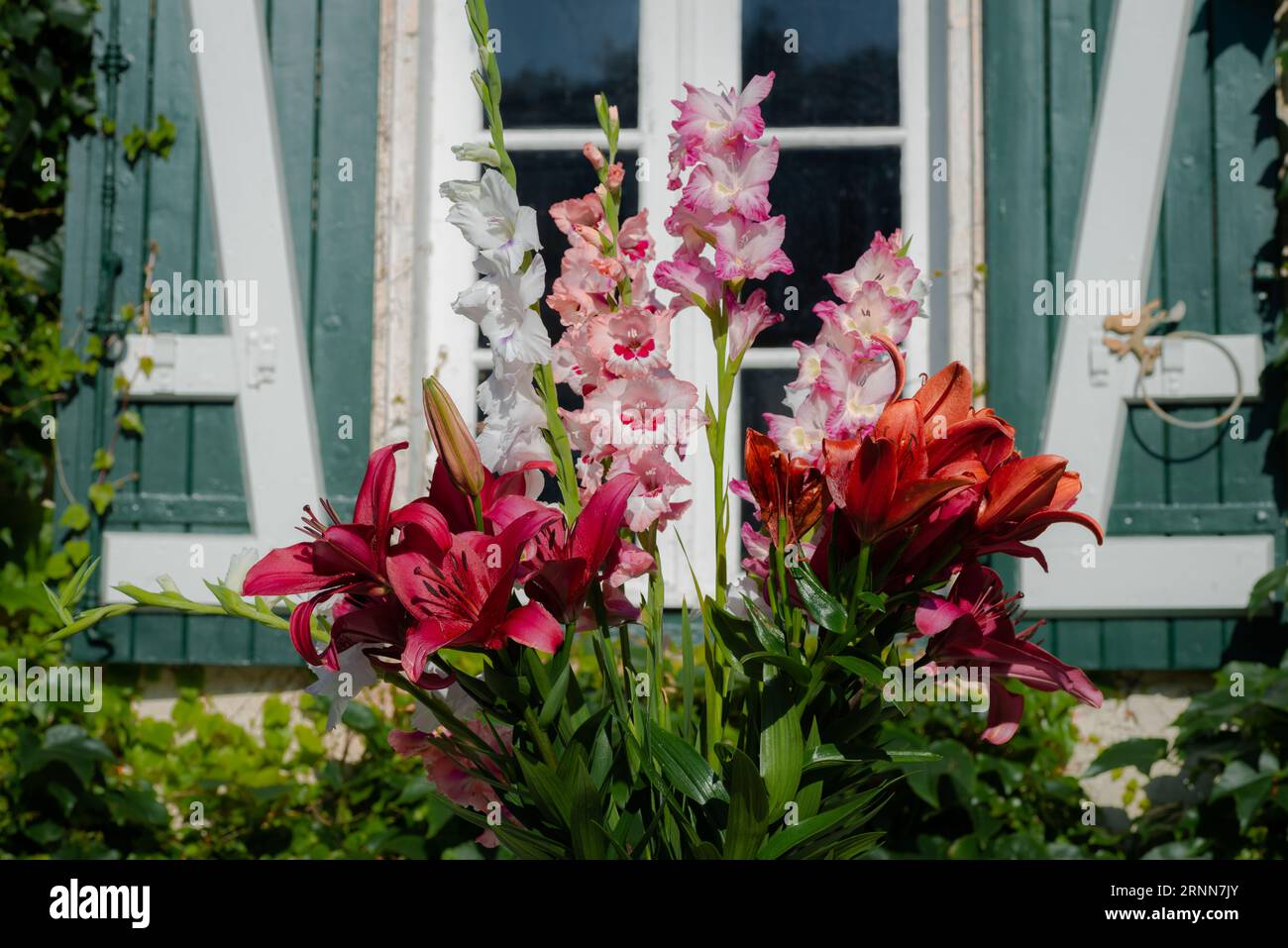 Bouquet de lys rouge et roses, lys Anastasia, Montezuma, Dizzy et ...