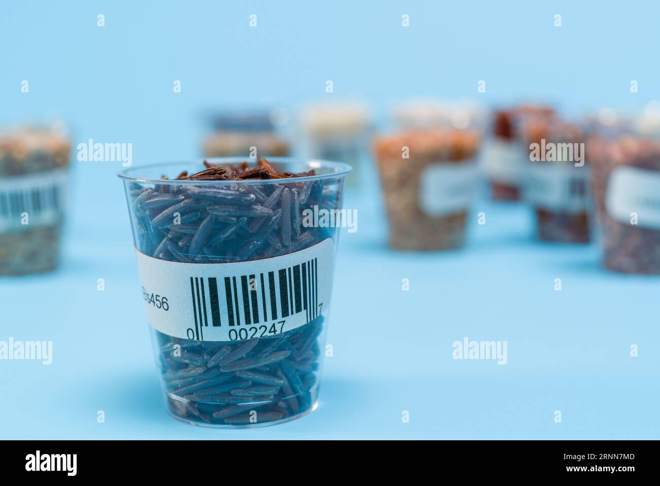 Biotechnology and Crop Improvement: Exploration of various ...