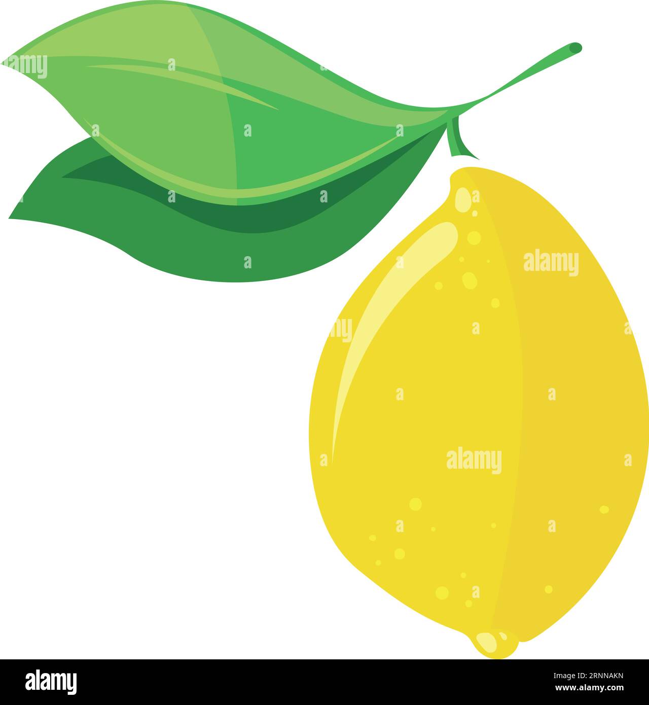 Citrus growing Stock Vector Images - Alamy