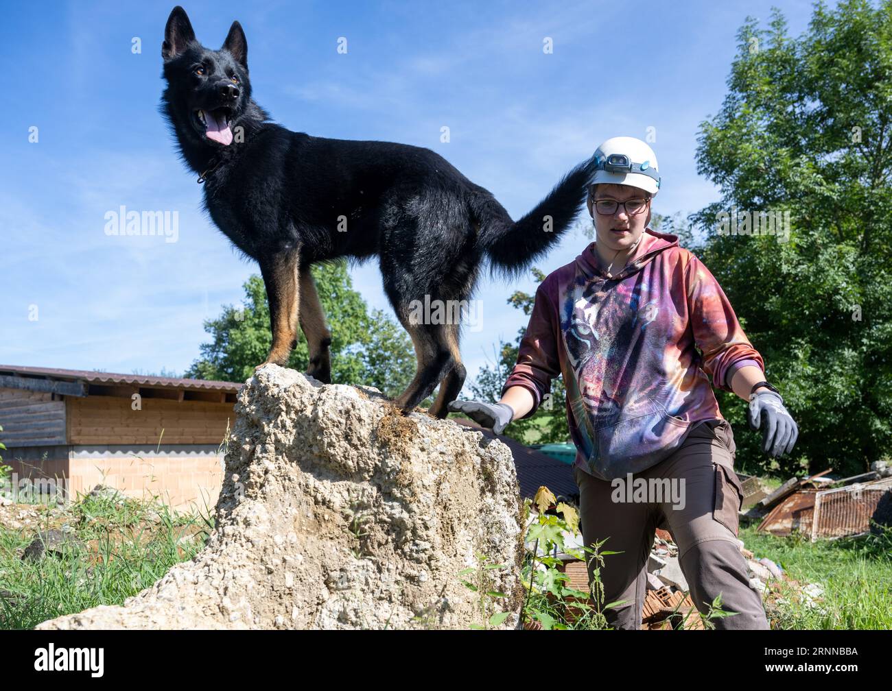 Schlierbach, Germany. 02nd Sep, 2023. Dog handler Kim Freiburg searches ...