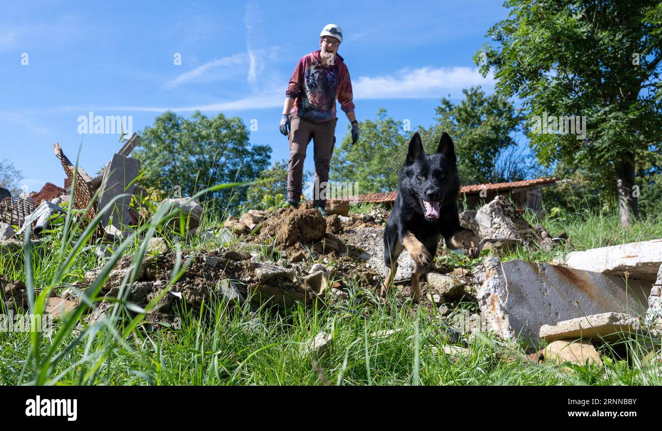 Schlierbach, Germany. 02nd Sep, 2023. Dog handler Kim Freiburg searches ...