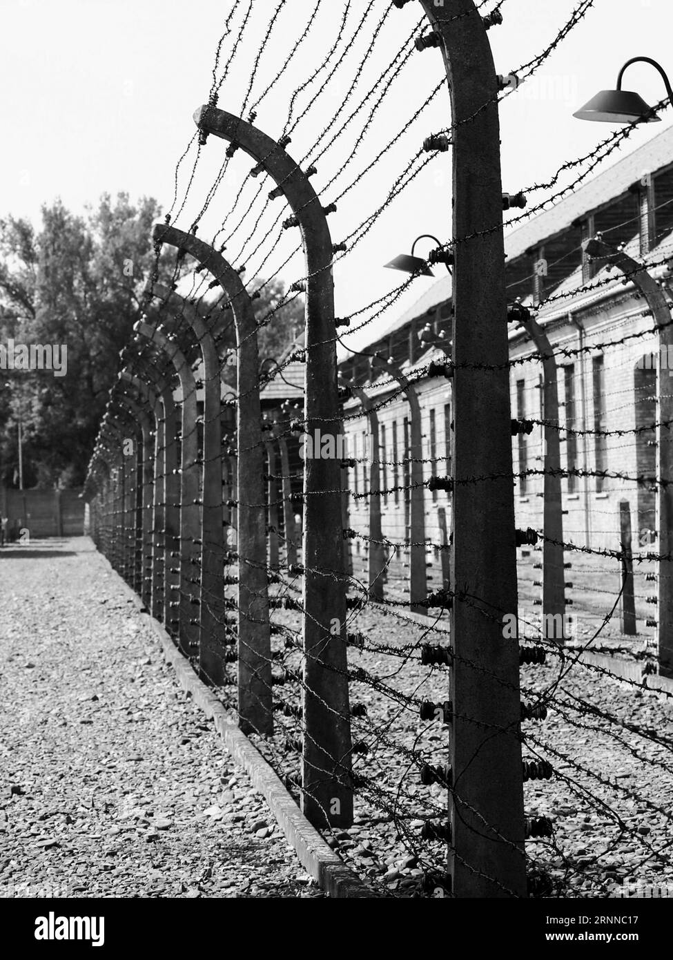 A grayscale of a barbed wire fence at Auschwitz concentration camp in ...