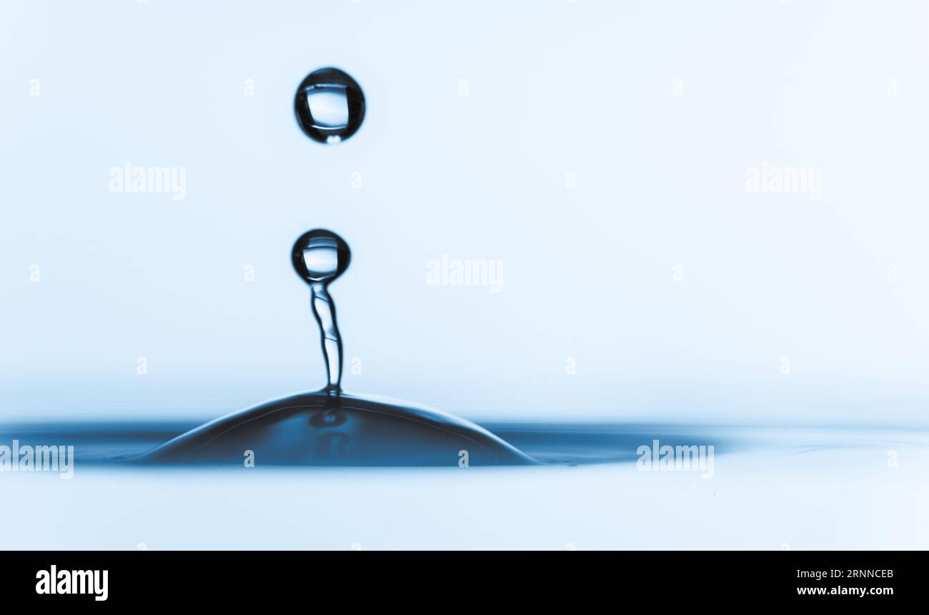 Drip Dynamics: Unveil the dynamic physics at play during a droplet's ...