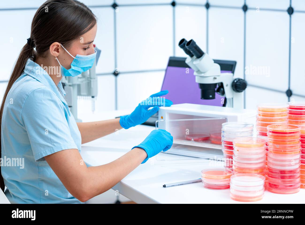 Population genetics studies: Petri dishes can be used in population ... Population genetics studies: Petri dishes can be used in population ...