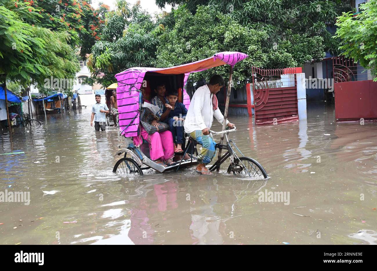 Waterlogged street rickshaw hi-res stock photography and images - Alamy