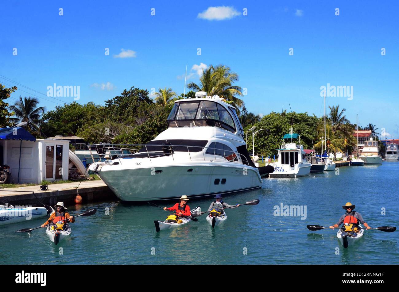 Siler sp hi-res stock photography and images - Alamy