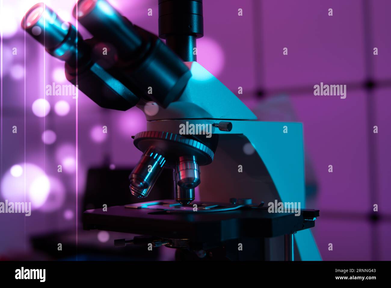 Abnormalities hi-res stock photography and images - Alamy