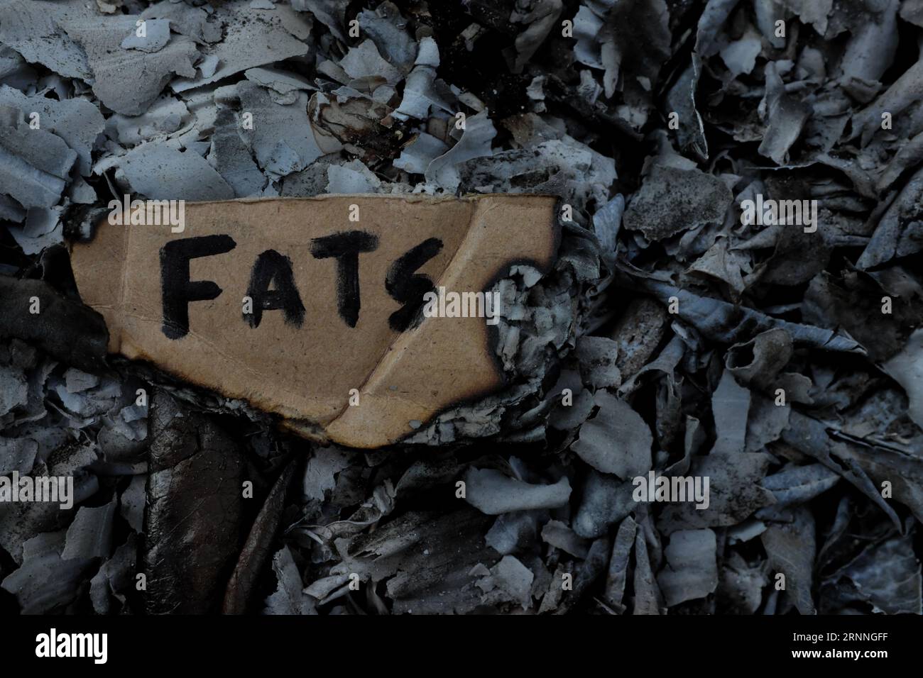 Burn fats concept. Burning paper with written word fat Stock Photo - Alamy