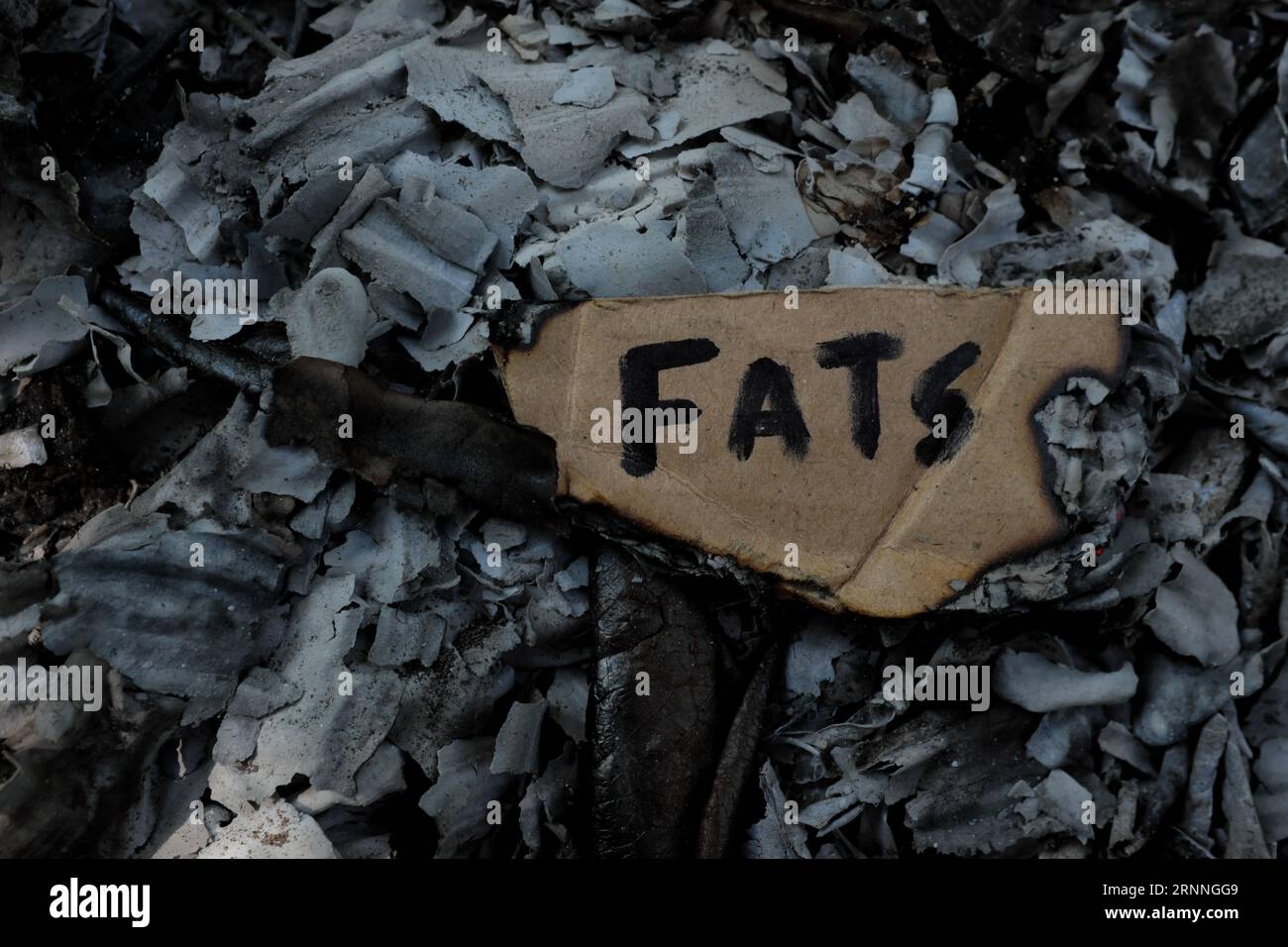Burn fats concept. Burning paper with written word fat Stock Photo - Alamy