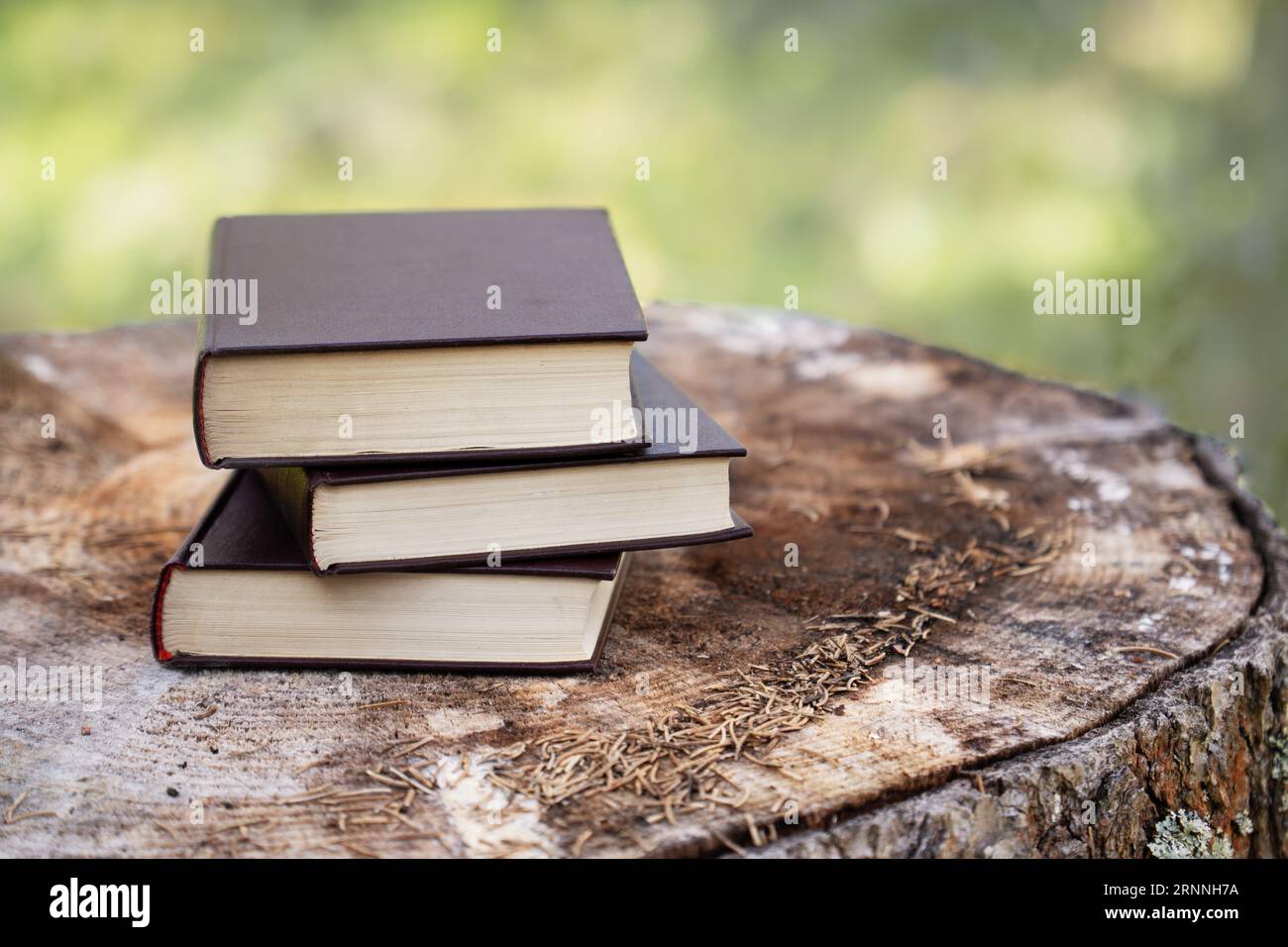 Stack of a three books on a large tree stump outdoors Stock Photo - Alamy