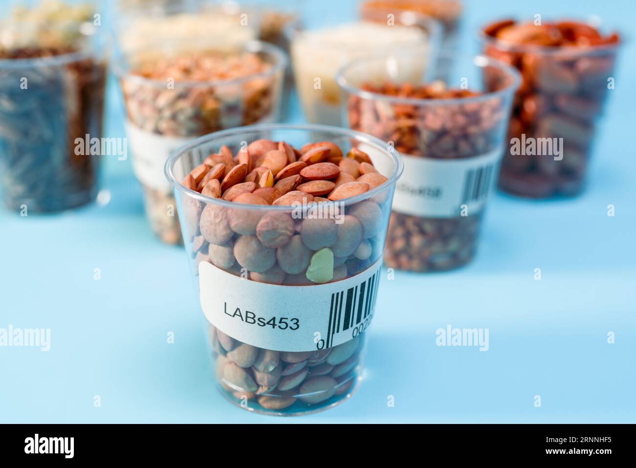 Breeding for Allergen Reduction: Reducing allergenic compounds in crops ...